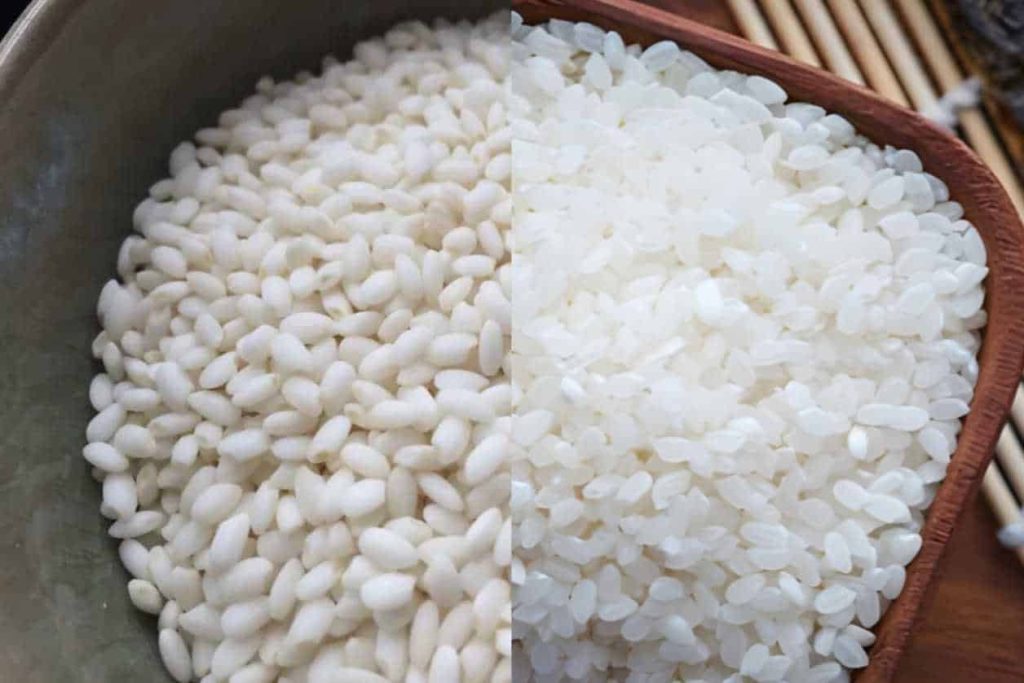 Rice: Types and its Uses - SimplExplainer