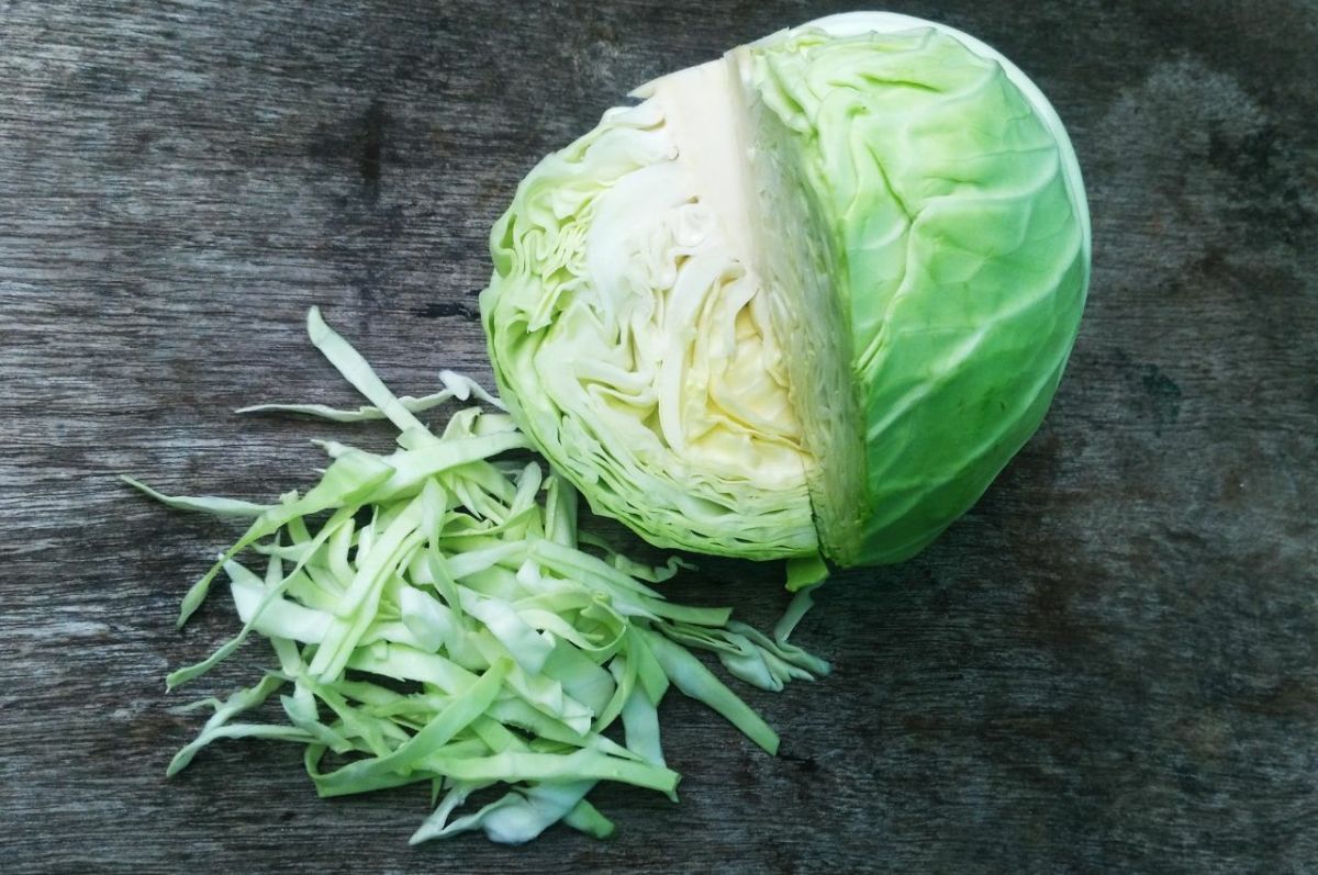 Benefits of Eating Cabbage - SimplExplainer
