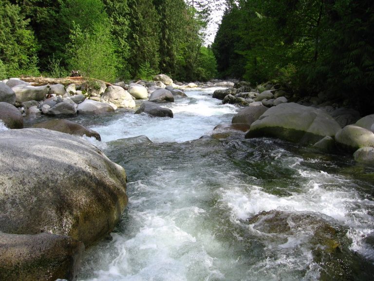 Types of Water Bodies - SimplExplainer