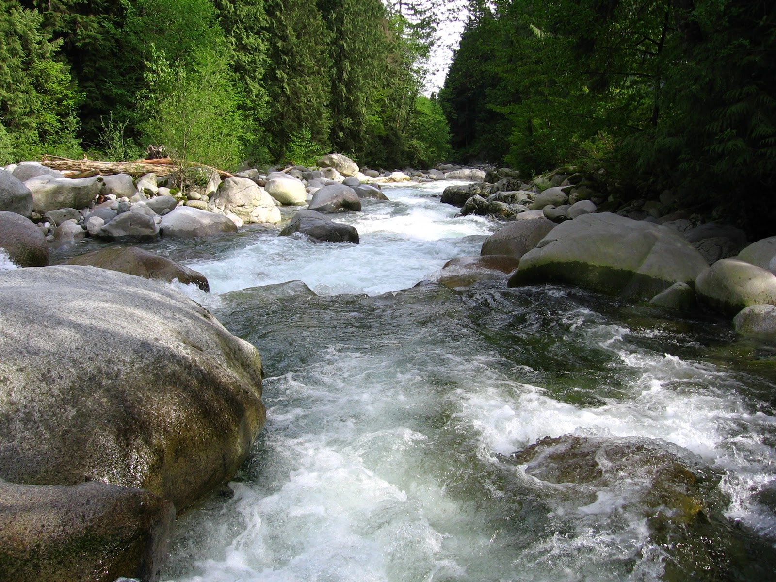 Types of Water Bodies - SimplExplainer