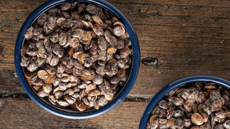 Health Benefits of Locust Bean - SimplExplainer