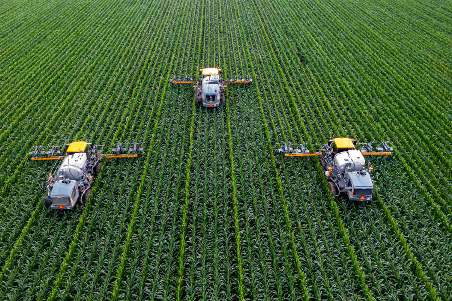 Advantages of Deforestation - SimplExplainer