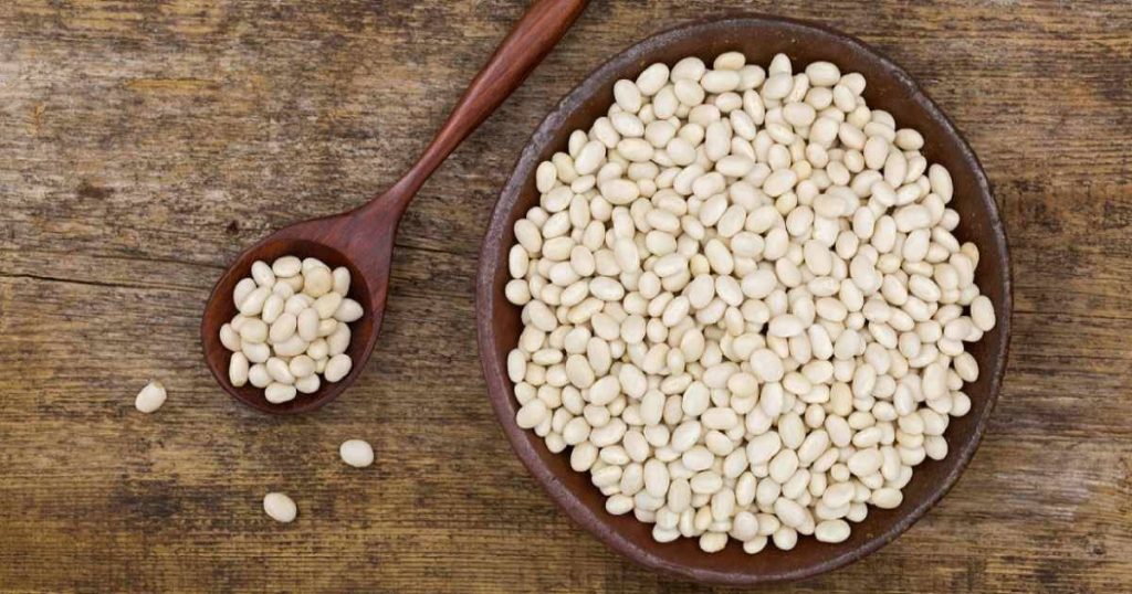 Nutritional Value of Naval Beans - SimplExplainer