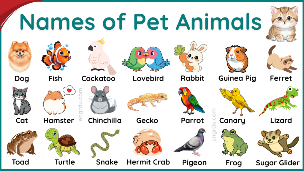 List of Domesticated Animals - SimplExplainer