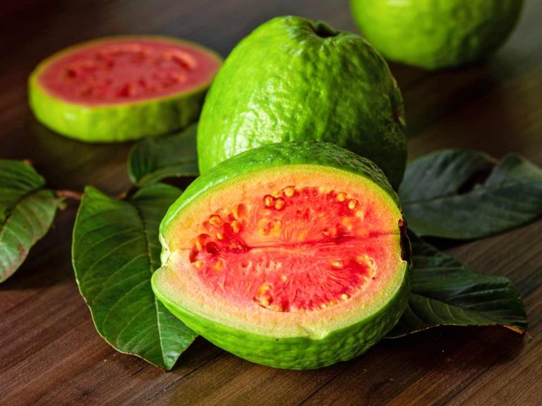 Jagua Fruit: Nature’s Blue Beauty - SimplExplainer